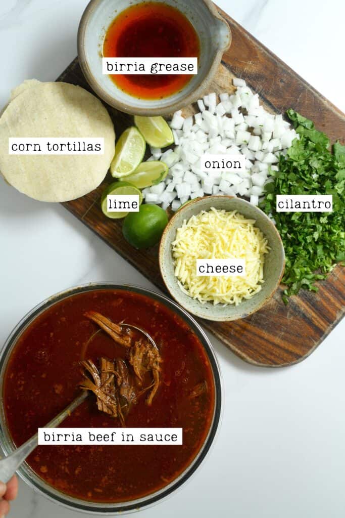 The Best Beef Birria Tacos - Alphafoodie