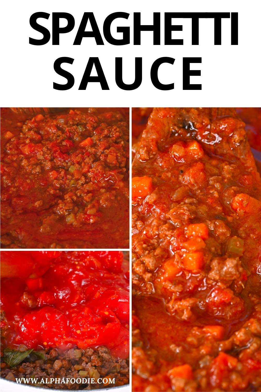 The Best Spaghetti Sauce (Better Than Store Bought) - Alphafoodie