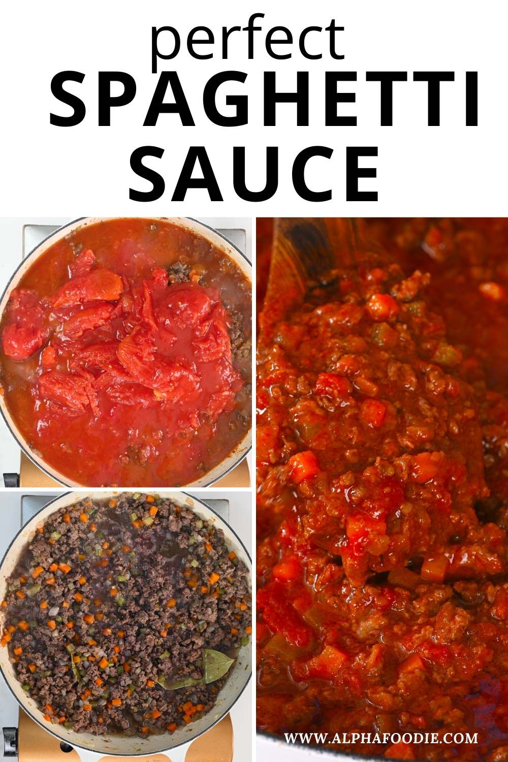 The Best Spaghetti Sauce (Better Than Store Bought) - Alphafoodie