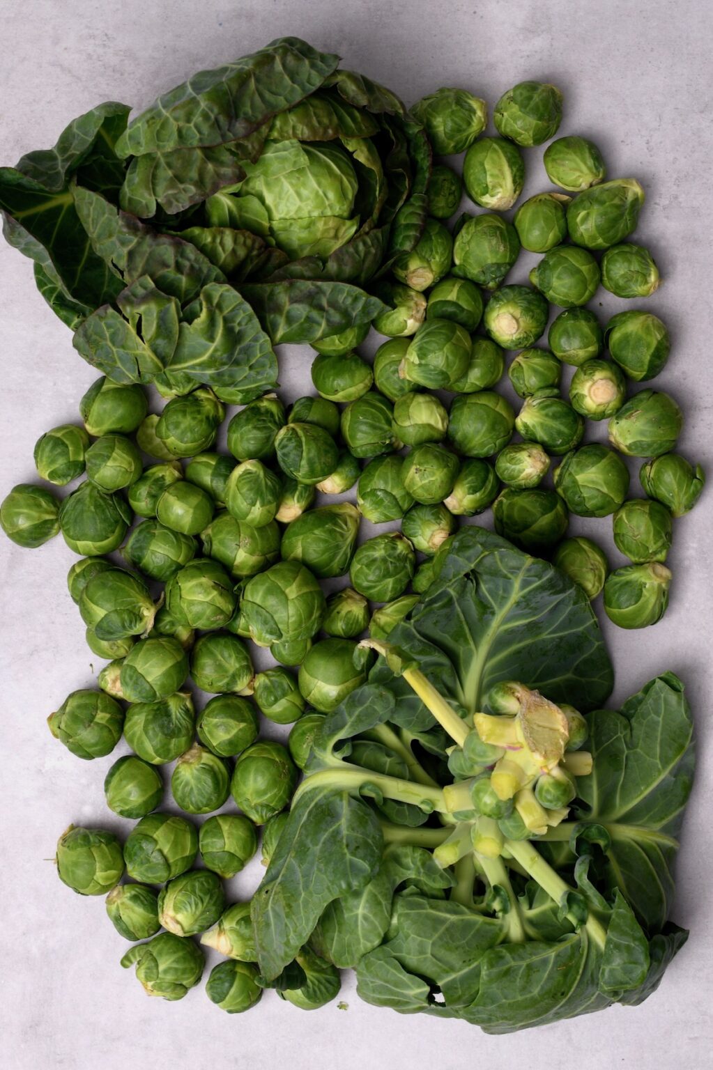 Roasted Brussel Sprouts - Alphafoodie