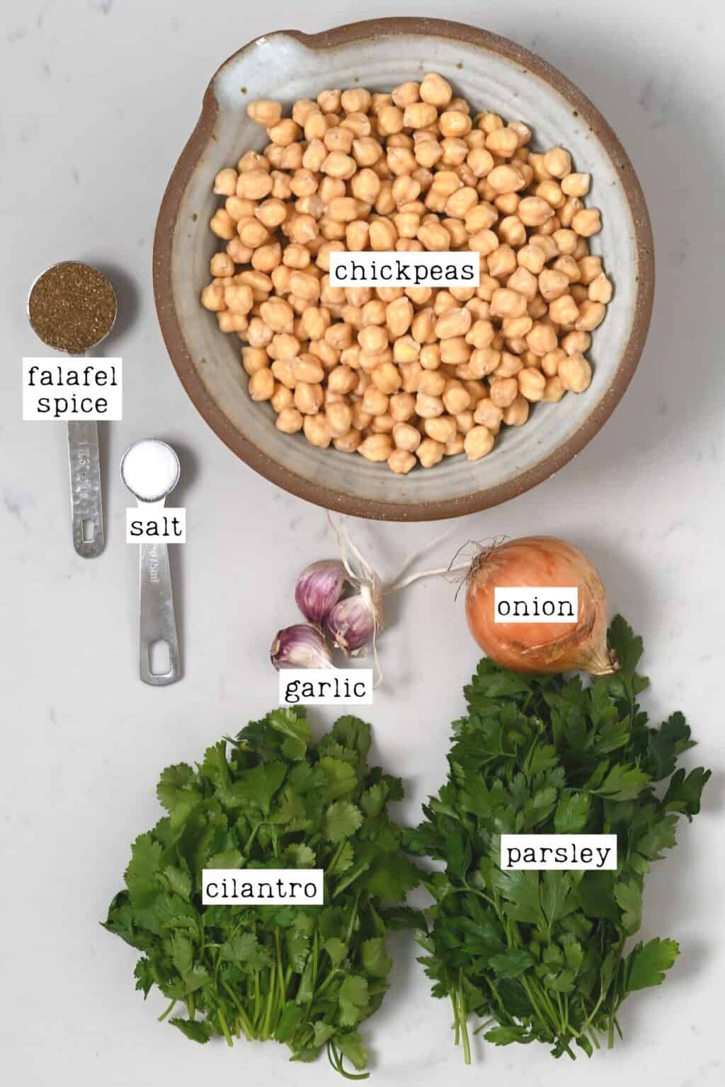 The Best Authentic Falafel Recipe - Alphafoodie