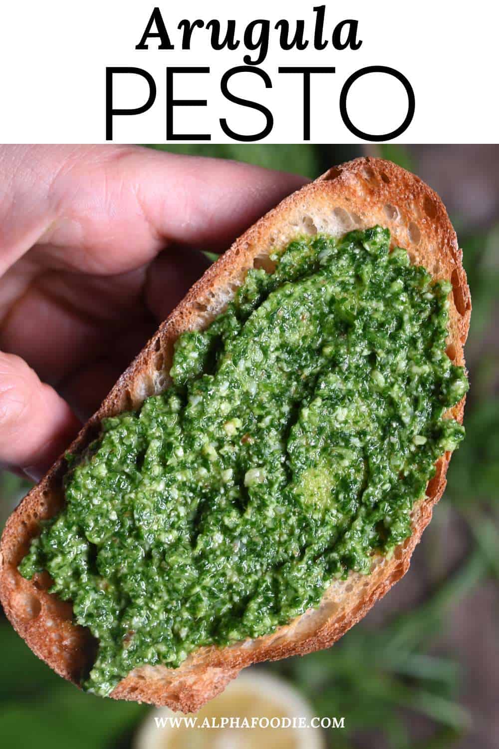 Arugula Pesto Recipe (5 Minute) - Alphafoodie
