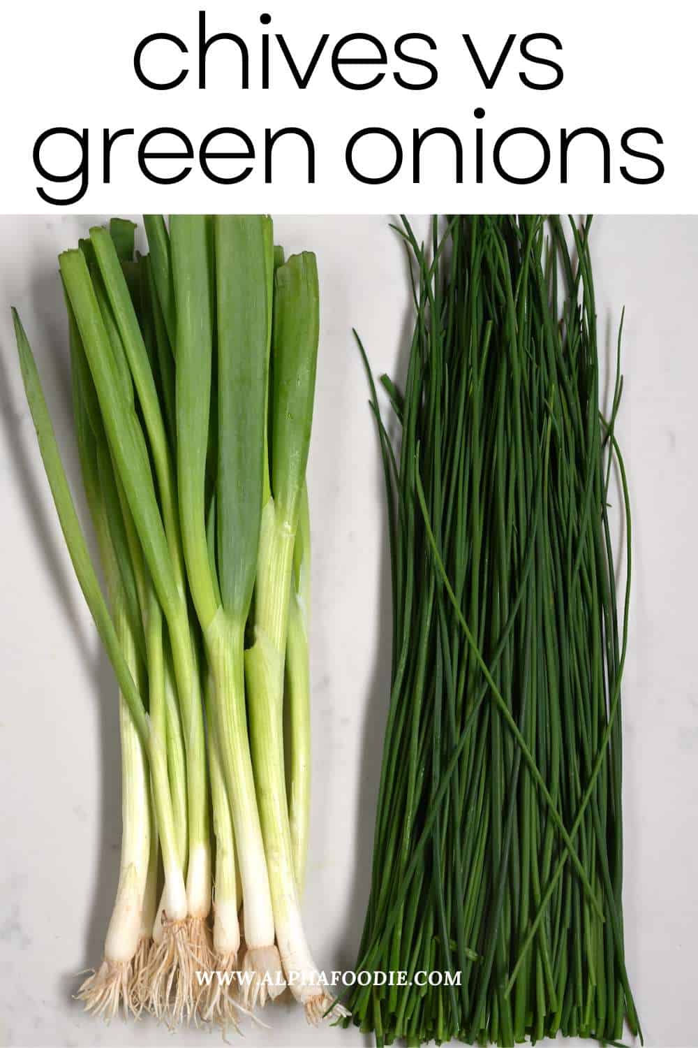 Chives Vs Green Onions: What's the Difference? - Alphafoodie
