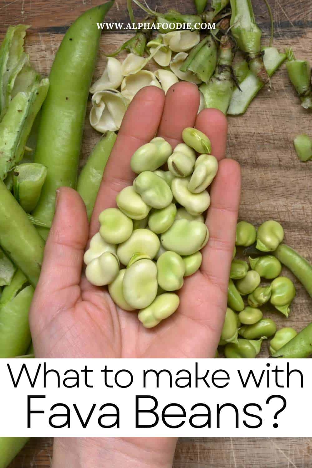 What Are Fava Beans and How to Cook Them - Alphafoodie