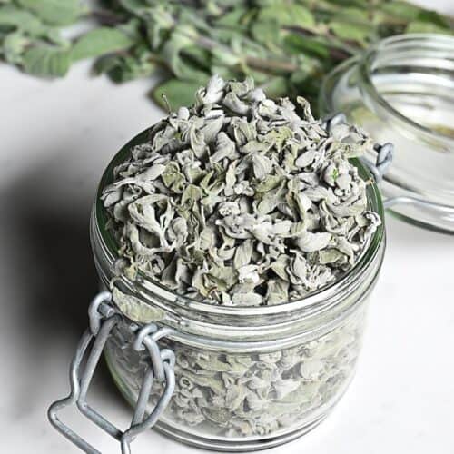 How to Dry Oregano (3 Methods) - Alphafoodie