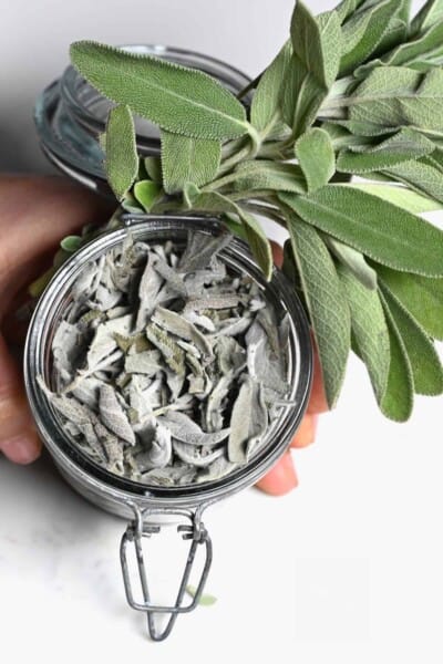 How to Dry Sage Leaves (4 Methods) - Alphafoodie