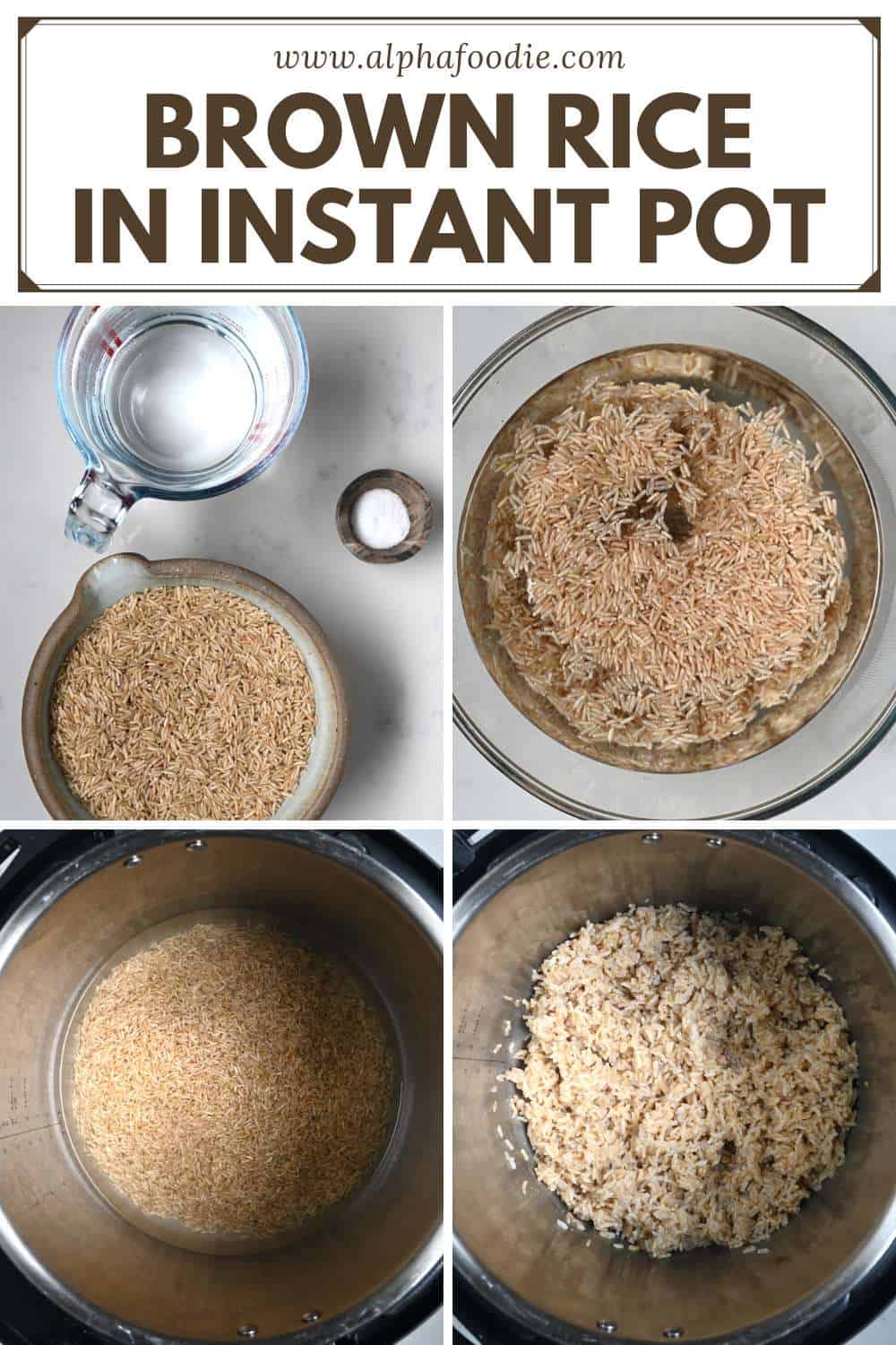 Instant Pot Brown Rice - Alphafoodie
