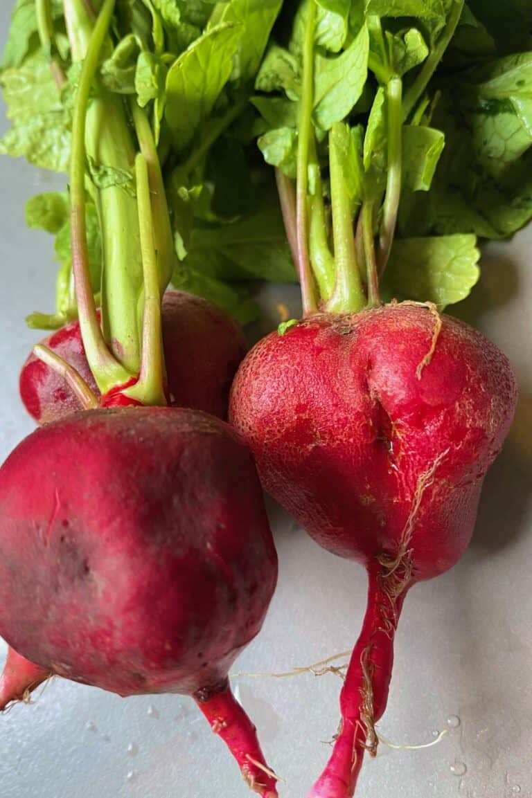 12 Popular Types of Radishes - Alphafoodie