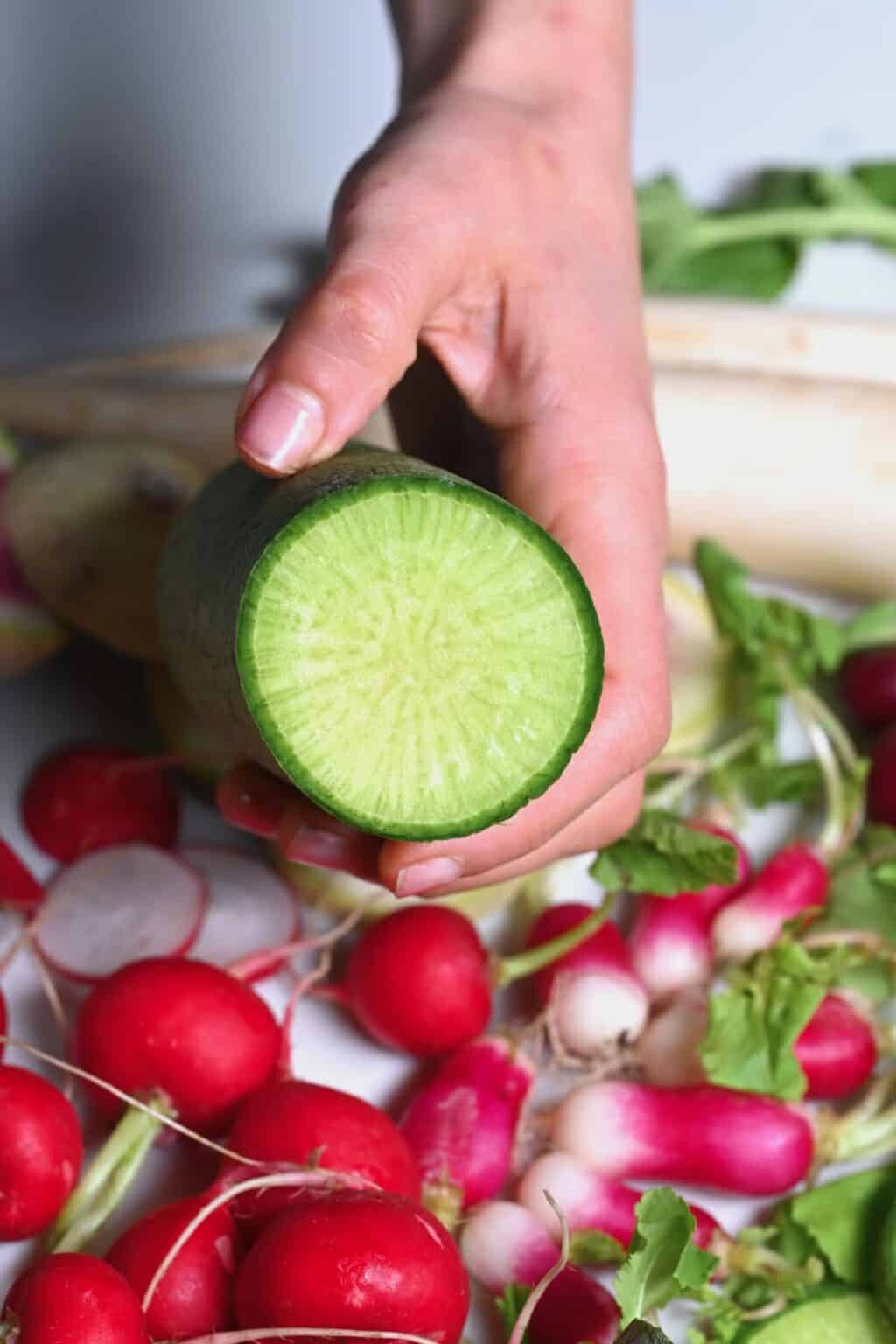 12 Popular Types of Radishes - Alphafoodie