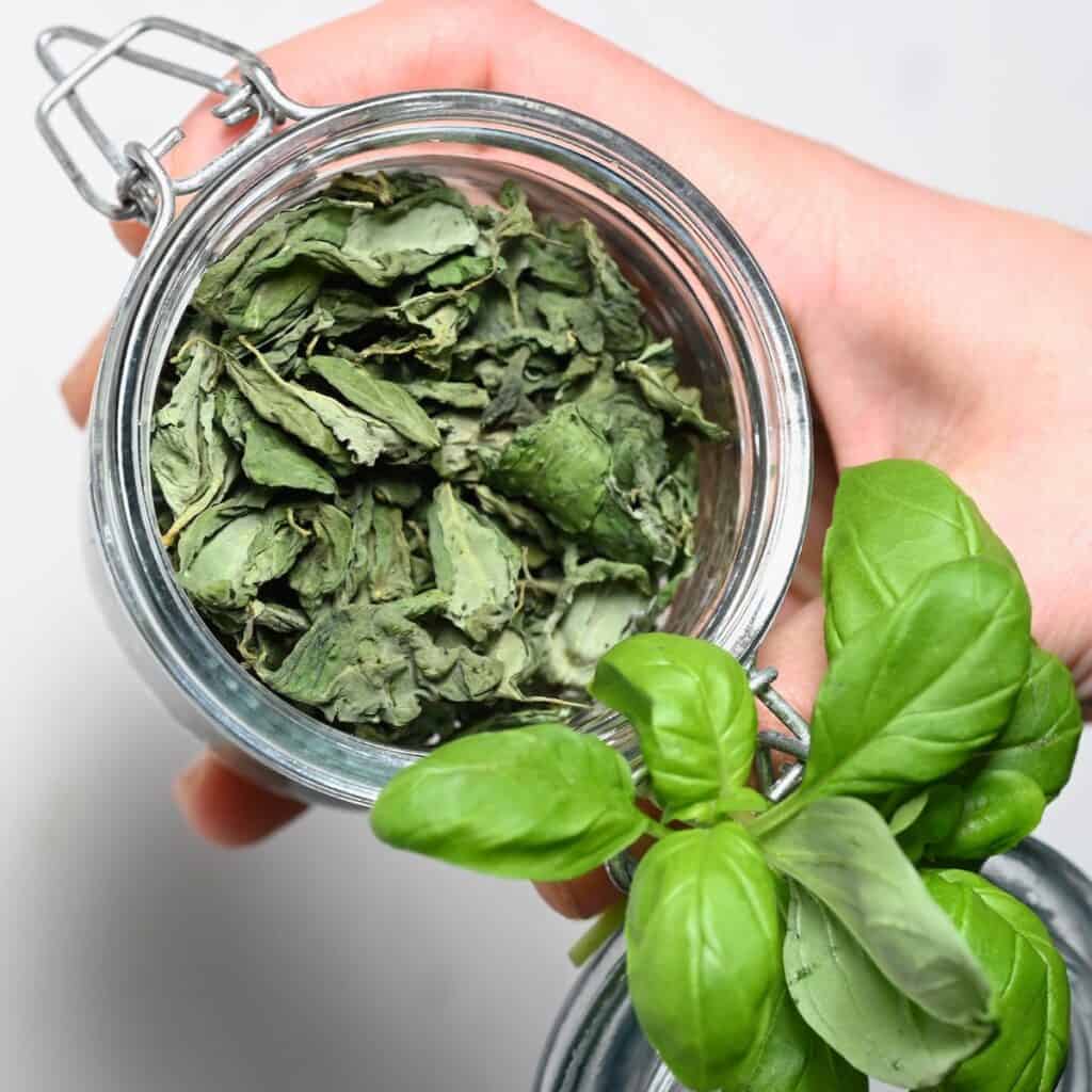 How to Dry Basil Leaves (3 Methods) - Alphafoodie