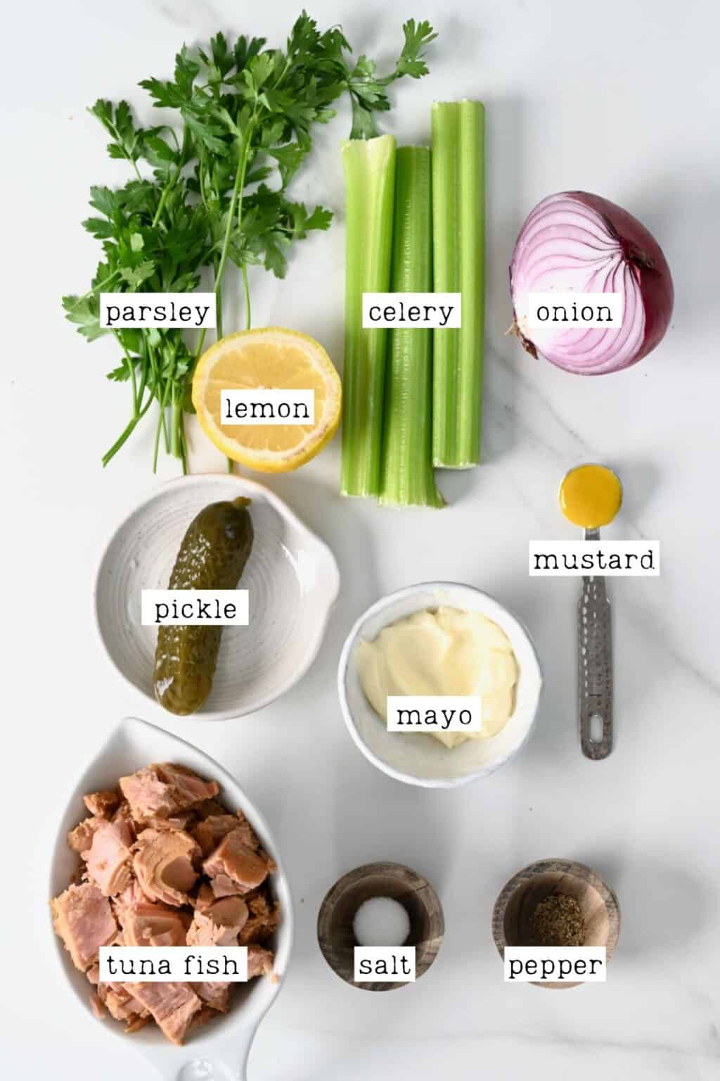 Easy Tuna Salad Recipe (With Video) - Alphafoodie