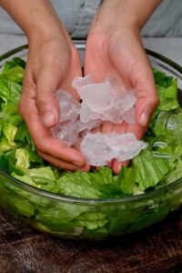 A Guide to Romaine Lettuce and What to Do with It - Alphafoodie
