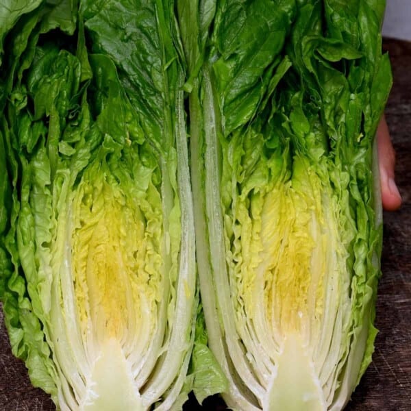 A Guide to Romaine Lettuce and What to Do with It - Alphafoodie