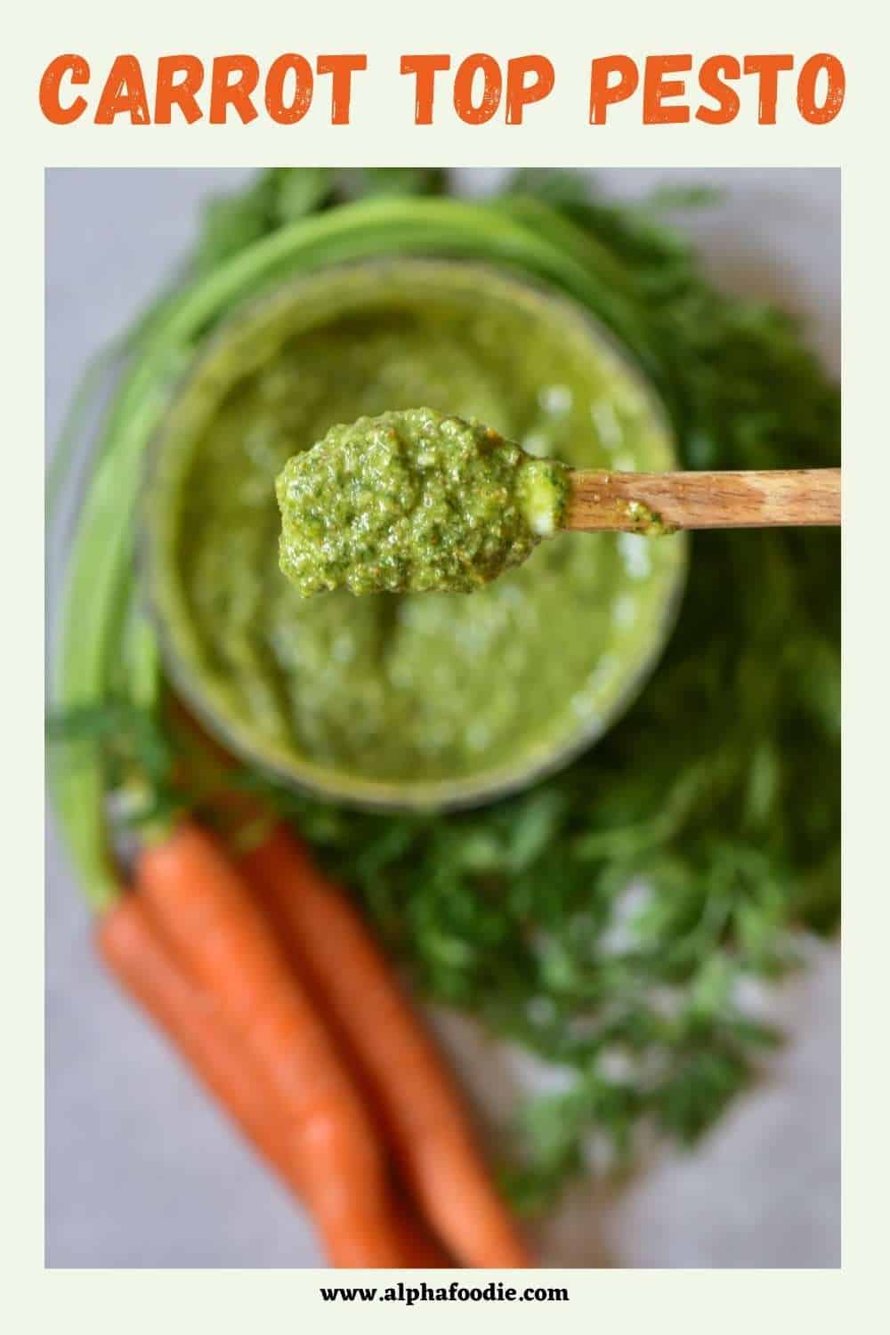 Carrot Top Pesto Recipe - Alphafoodie