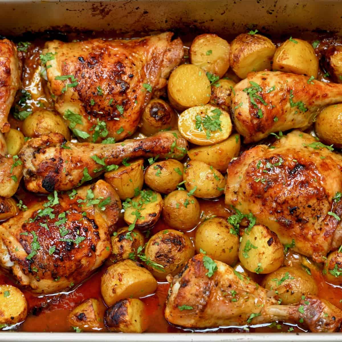 One Pot Chicken and Rice - Alphafoodie