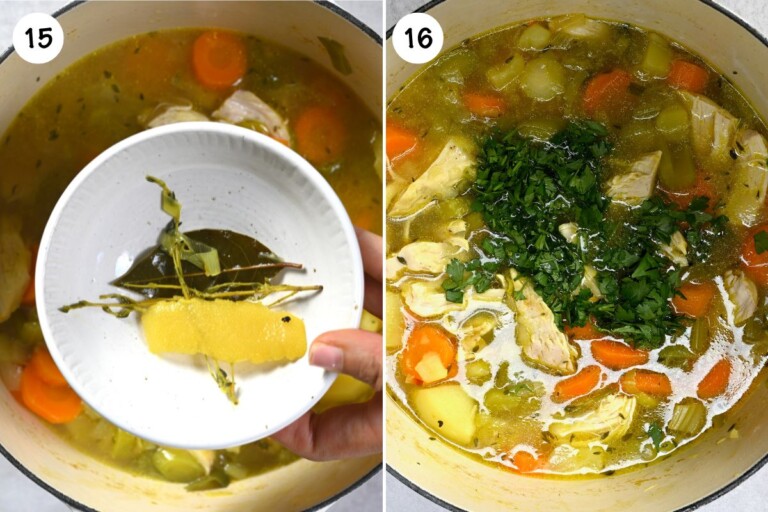 Best Chicken Soup (With Video) - Alphafoodie