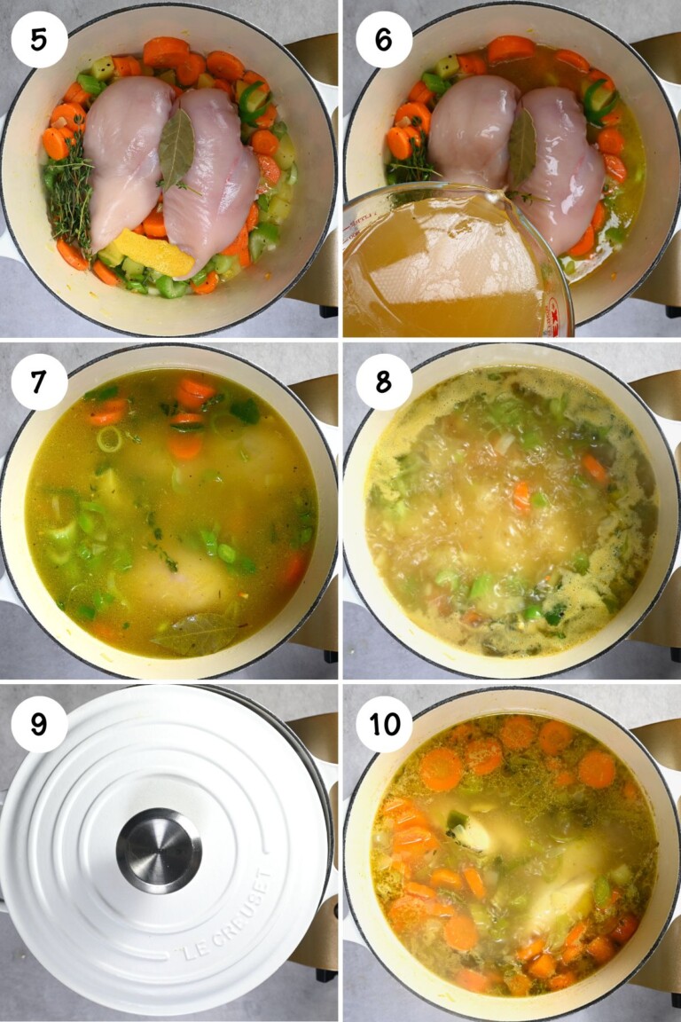 Best Chicken Soup (With Video) - Alphafoodie