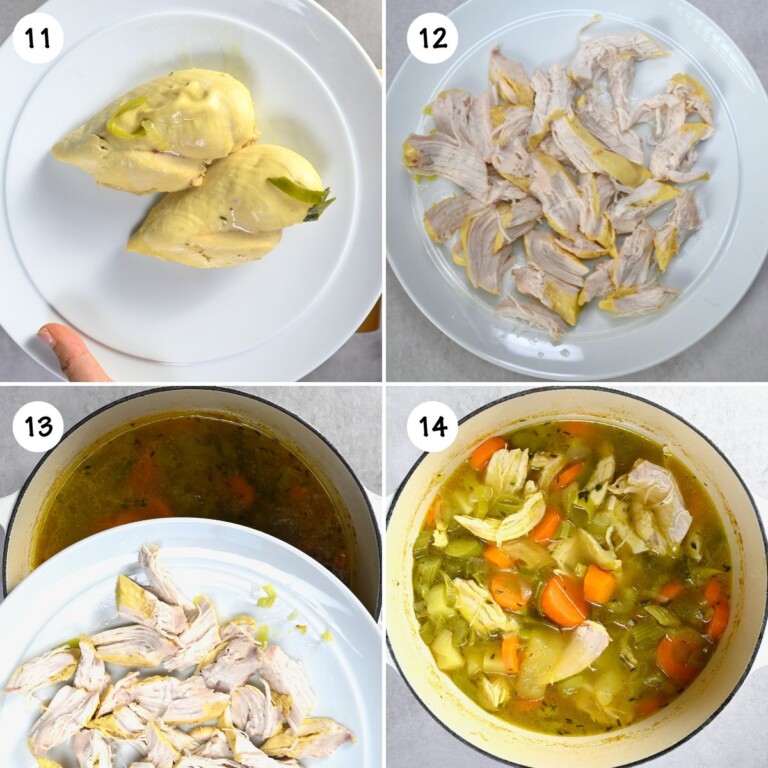 Best Chicken Soup (With Video) - Alphafoodie