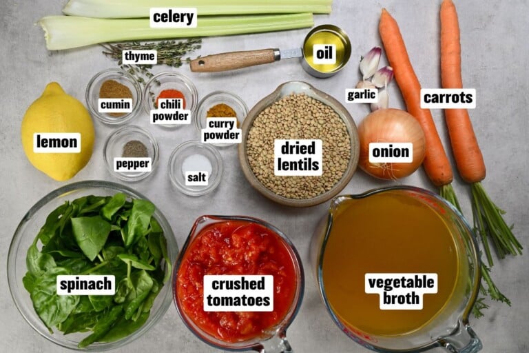 The Best Lentil Soup - Alphafoodie