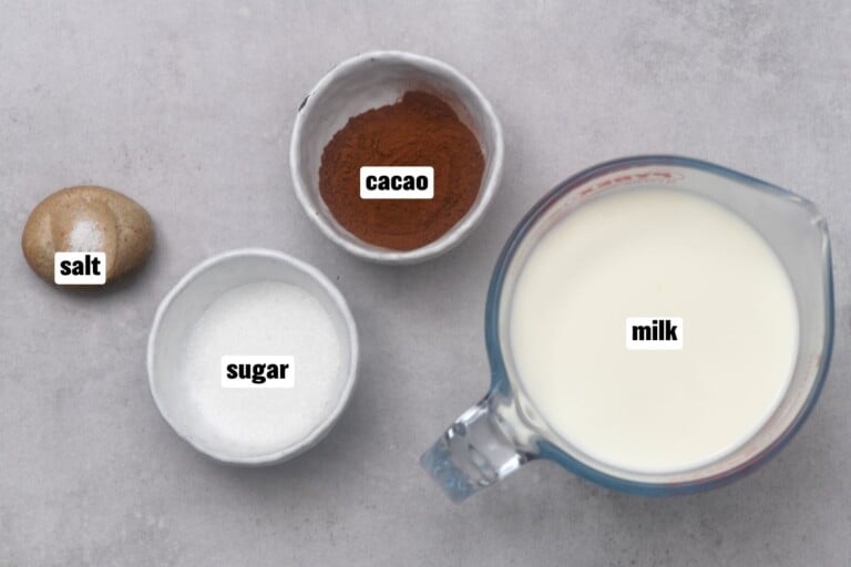 The Best Homemade Chocolate Milk - Alphafoodie