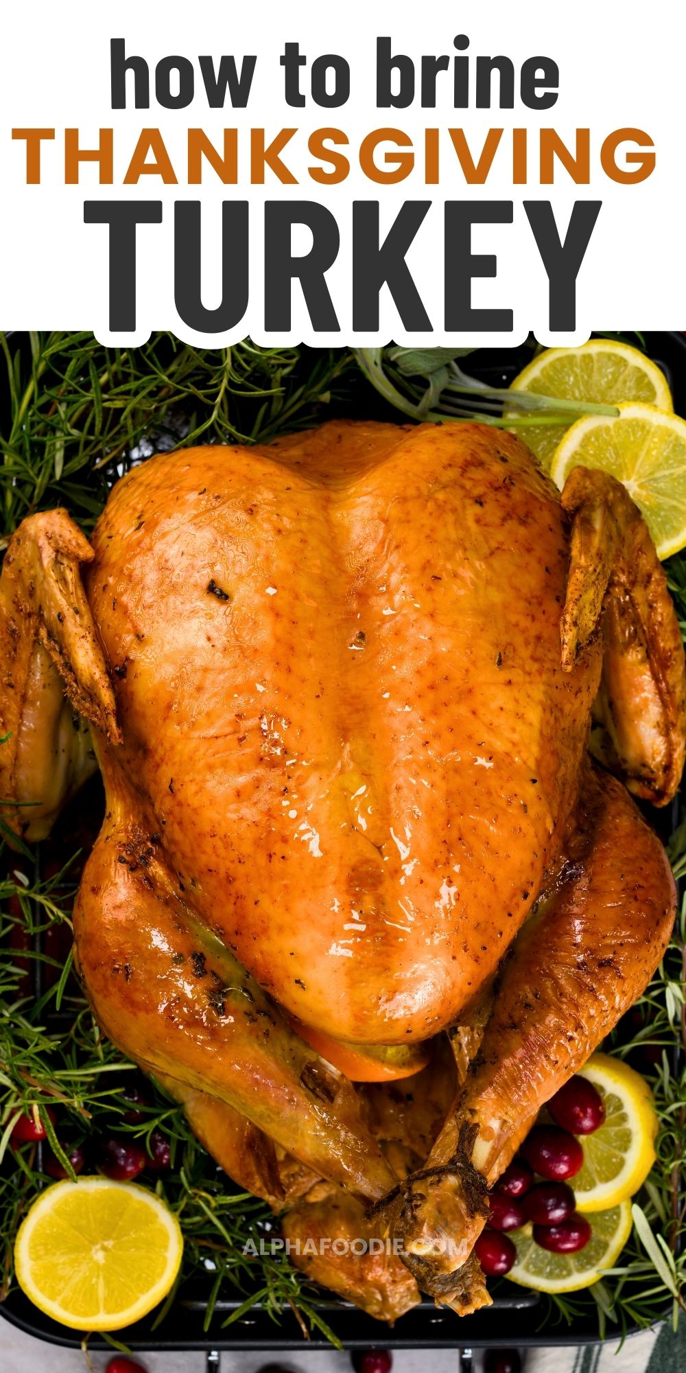 Best Turkey Brine Recipe for Juicy, Flavorful Turkey - Alphafoodie
