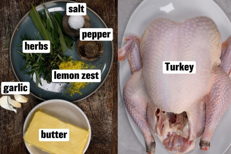 Easy Juicy Thanksgiving Turkey Recipe - Alphafoodie
