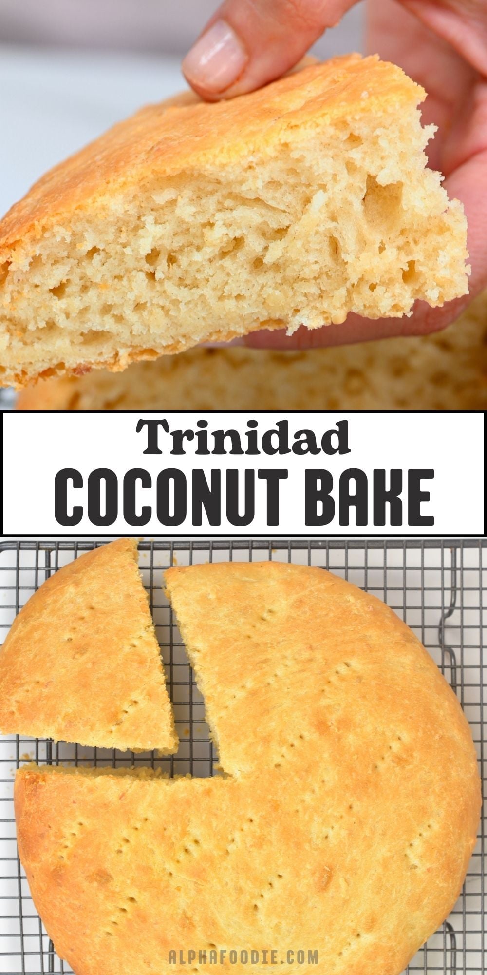 Coconut Bake (Trinidad Pot Bake) - Alphafoodie
